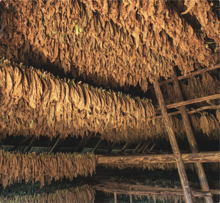 Global Leaf Tobacco Limited