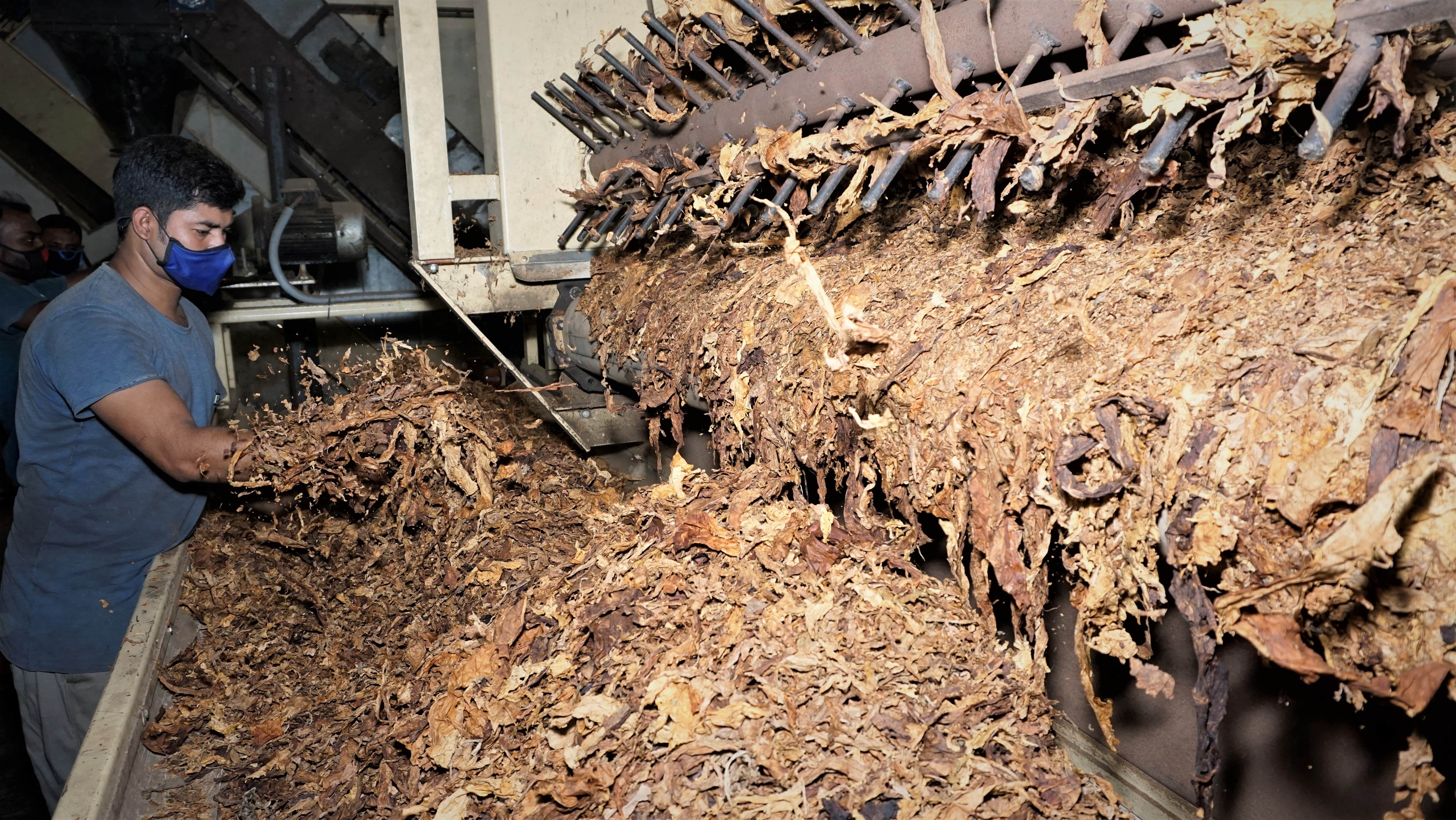 Global Leaf Tobacco Limited