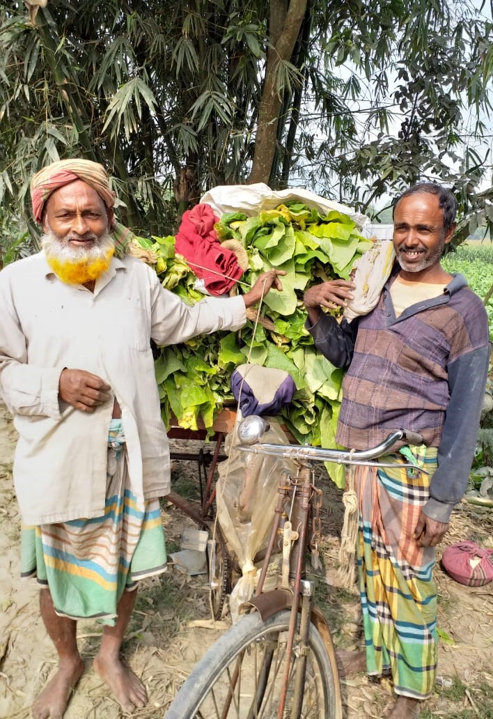 Global Leaf Tobacco Limited